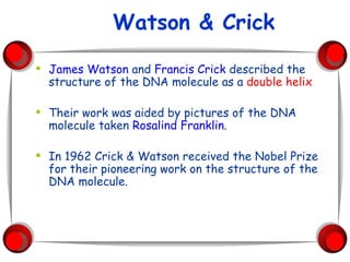 Ncvps bcr dna structure | PPT