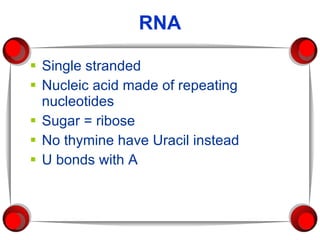 Ncvps lesson 1 module 8 what is rna | PPT