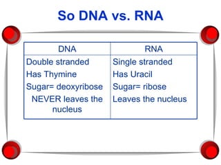 Ncvps lesson 1 module 8 what is rna | PPT