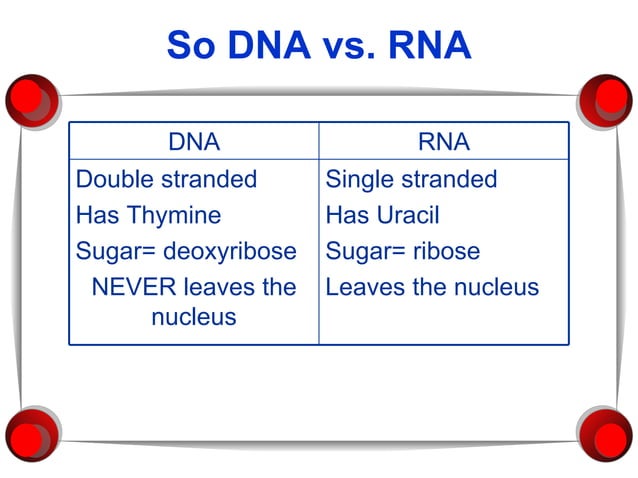 Ncvps lesson 1 module 8 what is rna | PPT