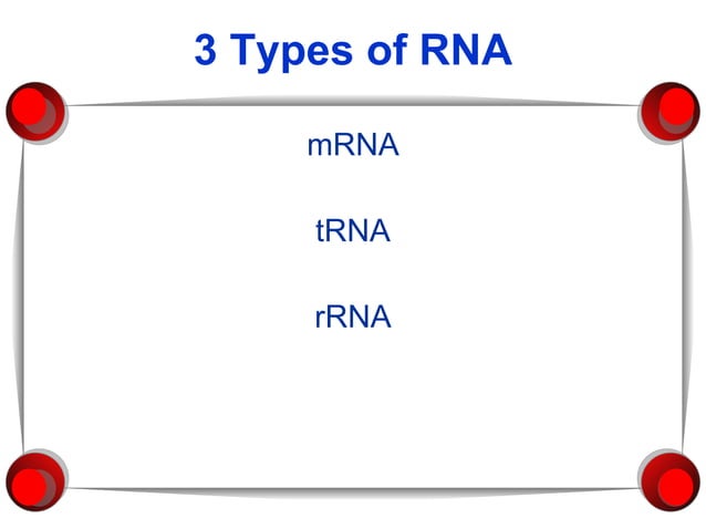 Ncvps lesson 1 module 8 what is rna | PPT