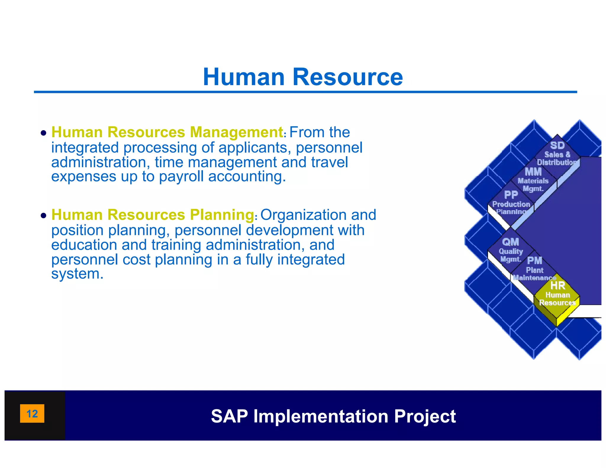 Sap Overview pdf | PDF
