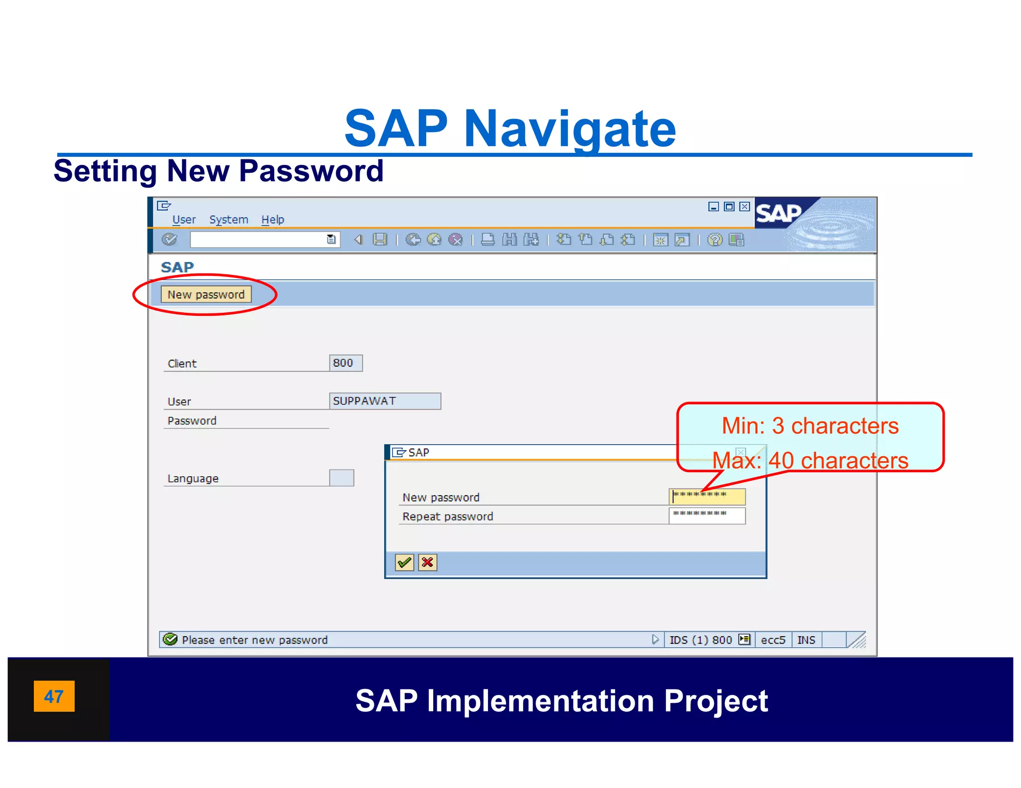 Sap Overview pdf | PDF