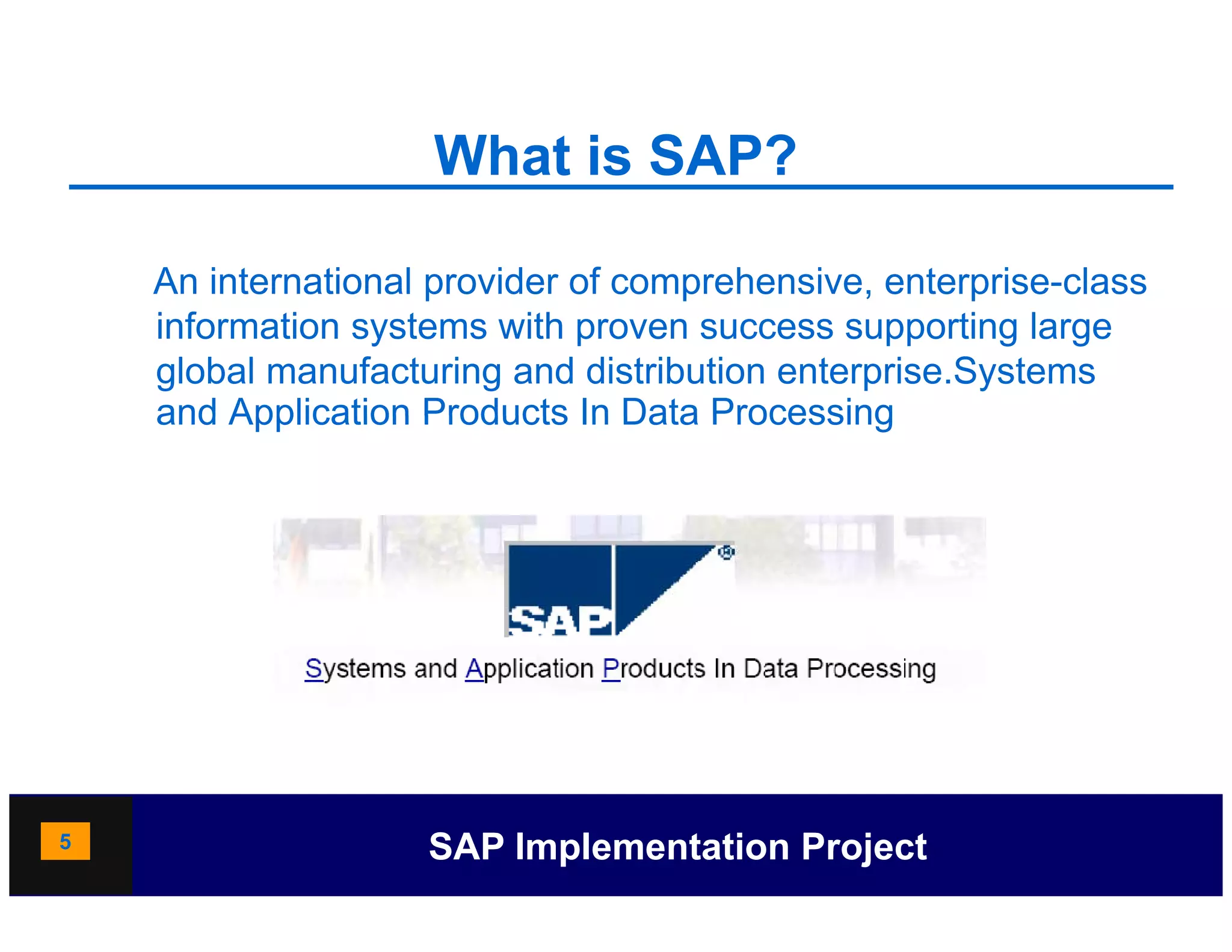 Sap Overview pdf | PDF