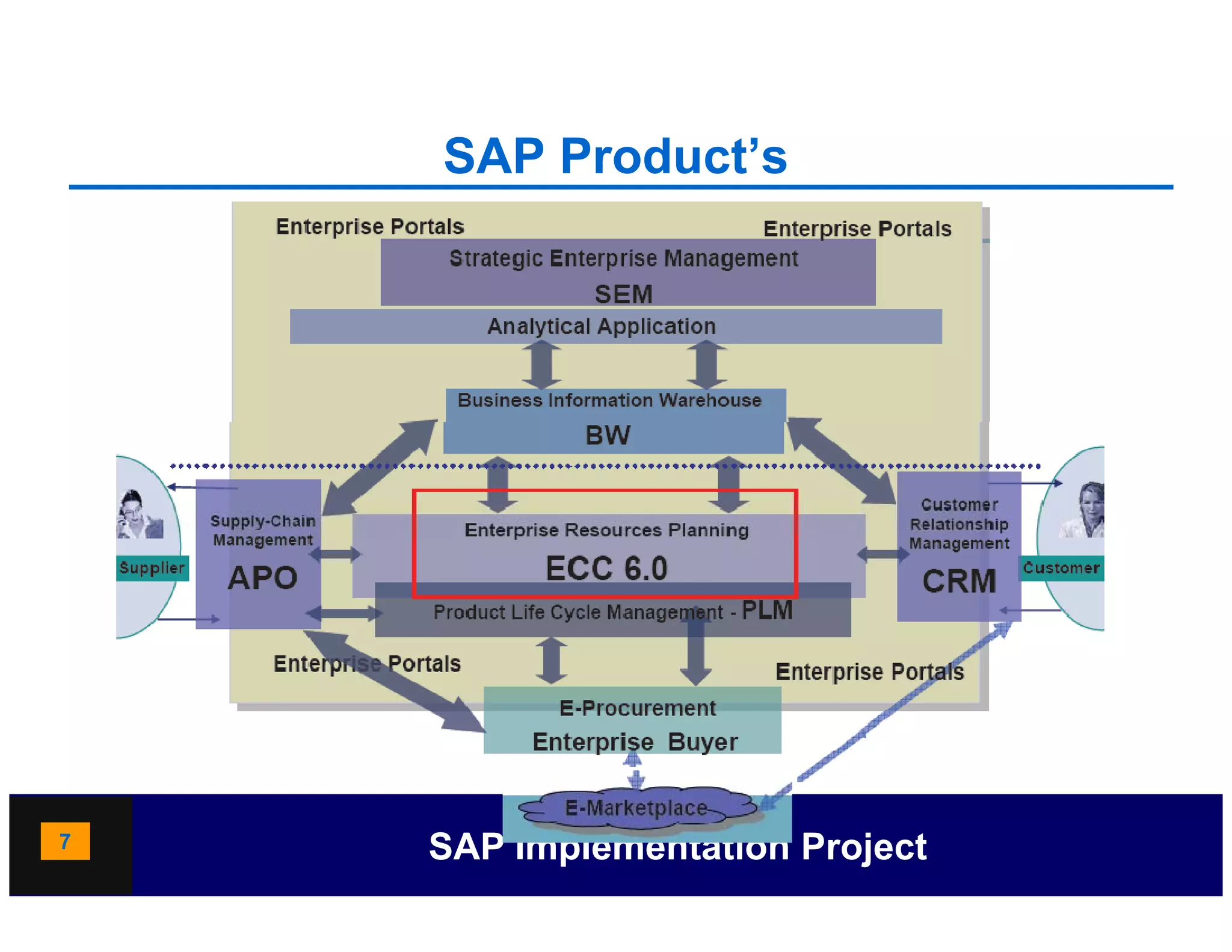 Sap Overview pdf | PDF