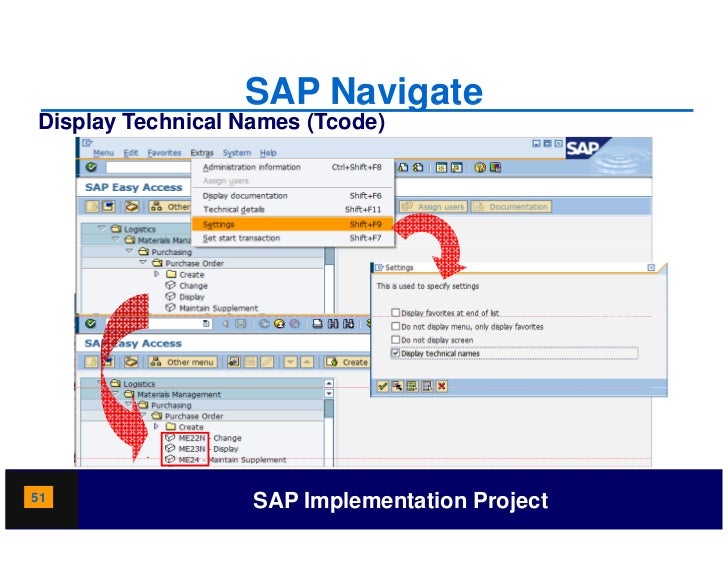 Sap Overview pdf