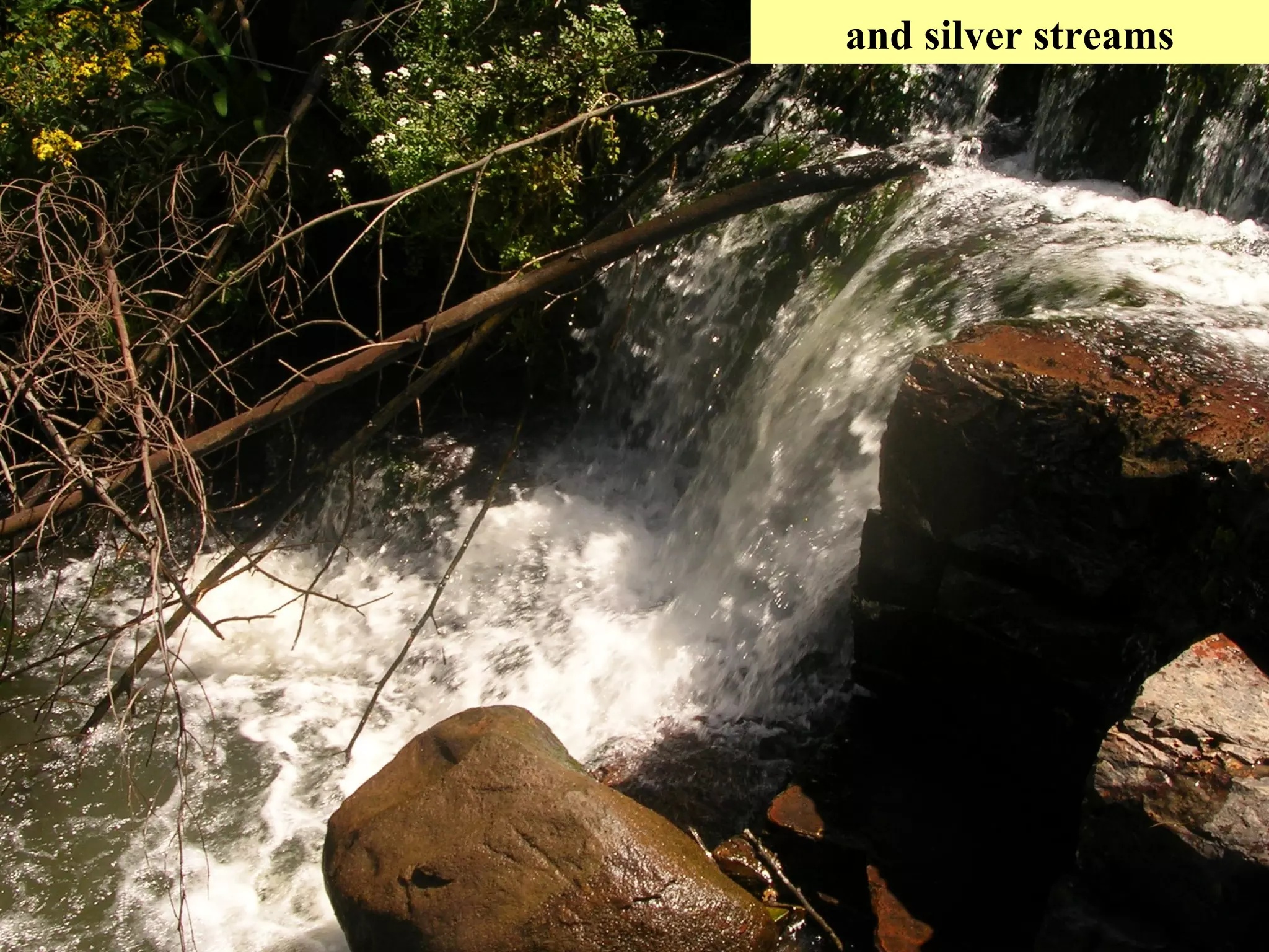 Never Daunted accommodation, Hogsback | PPT