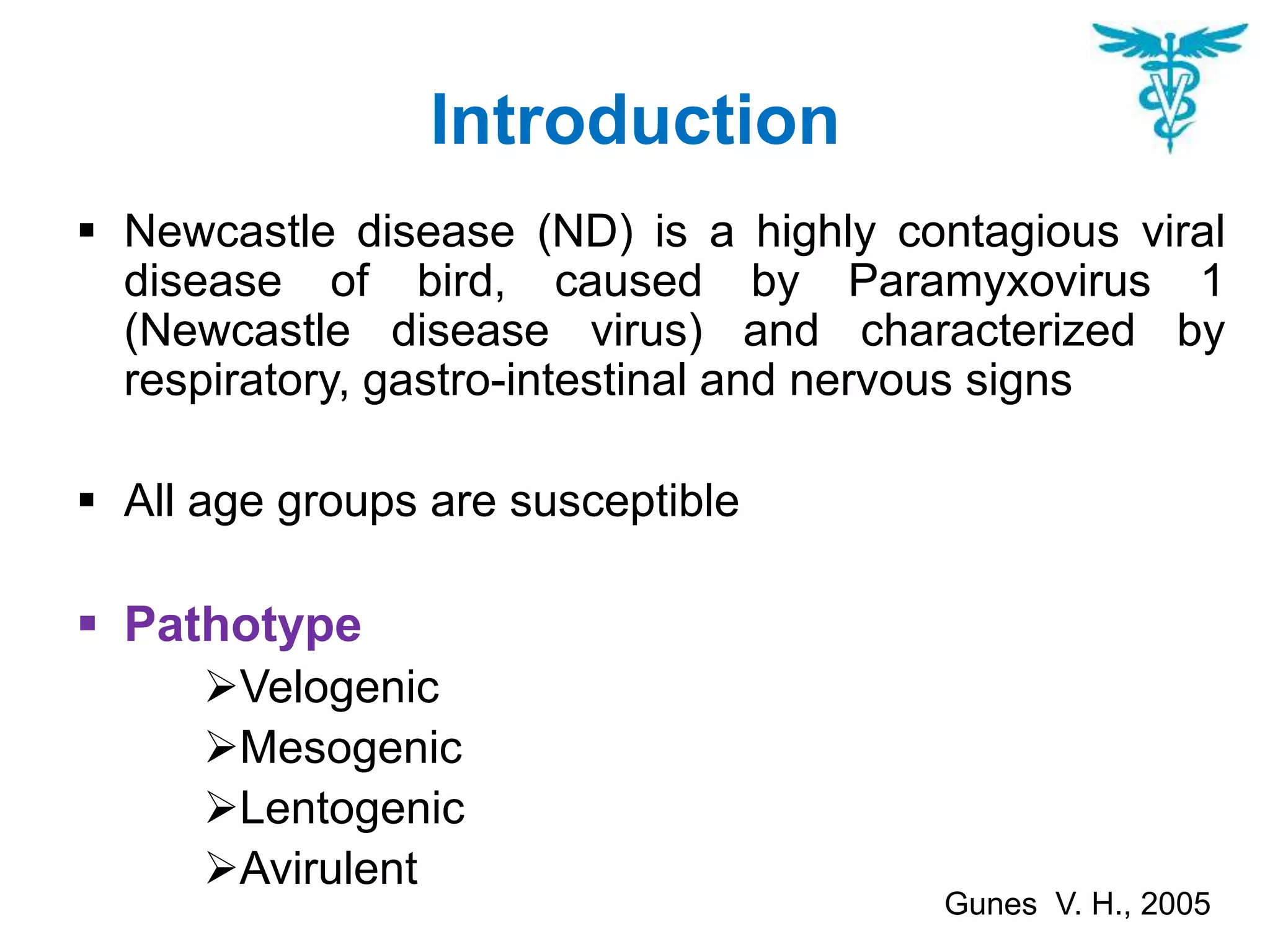 Newcastle Disease | PPTX