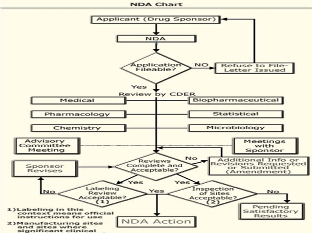 NDA- New Drug Application | PPT