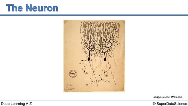 Deep Learning A-Z™: Artificial Neural Networks (ANN) - Module 1 | PPTX | Programming Languages ...