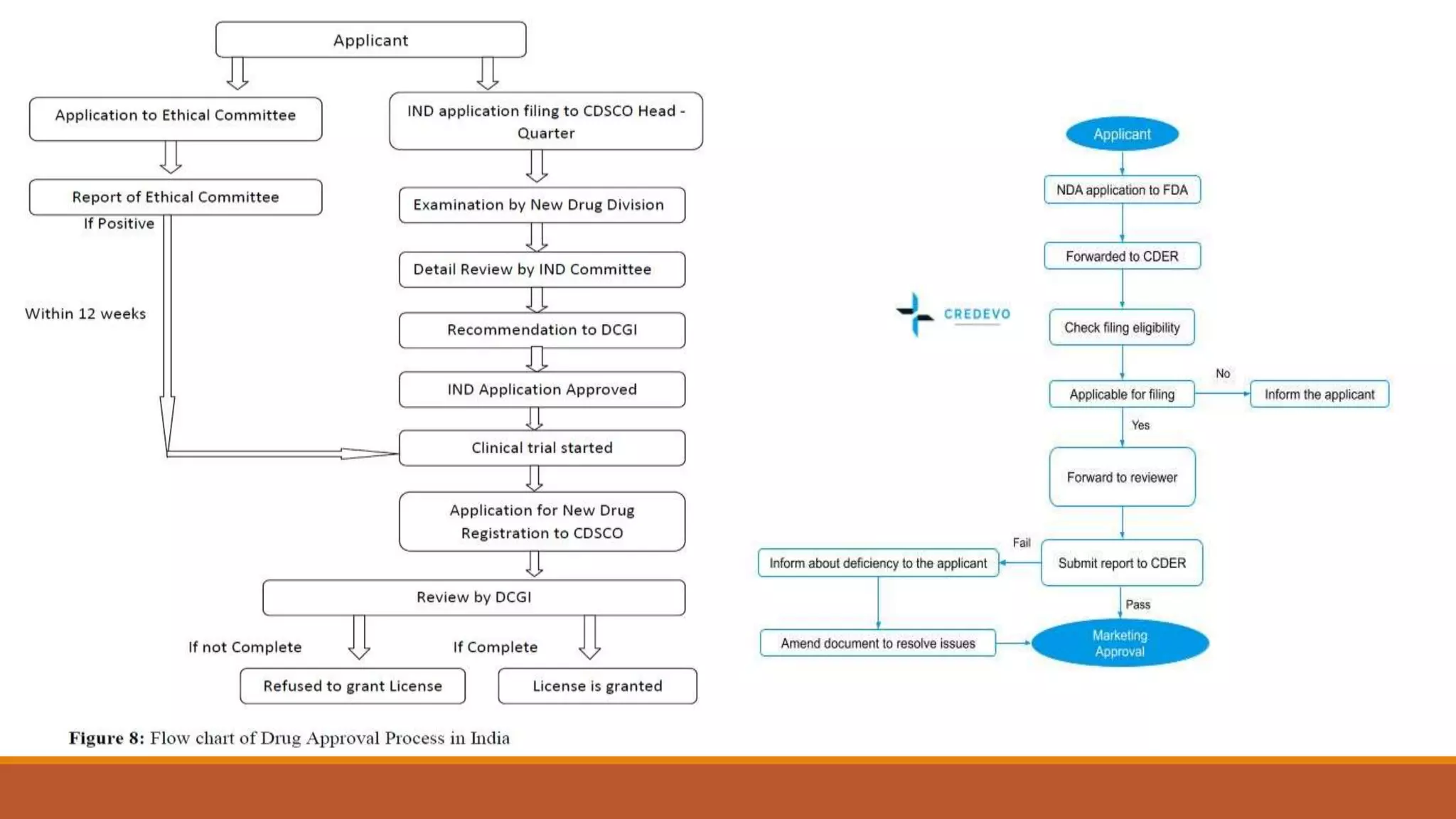 New Drug Application (NDA) Filing | PPTX