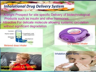 Ndds | PPTX