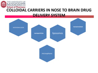 Nasal drug delivery system | PPTX | Lung and Respiratory Health ...