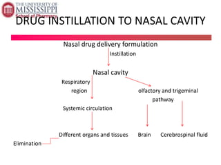 Nasal drug delivery system | PPTX