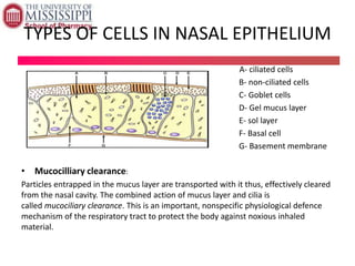 Nasal drug delivery system | PPTX