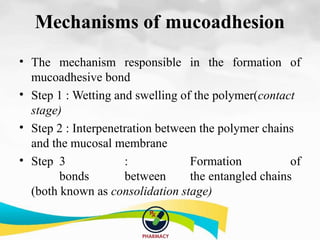 Ndds 5 MUCOADHESIVE DRUG DELIVERY SYSTEM ppt | PPT