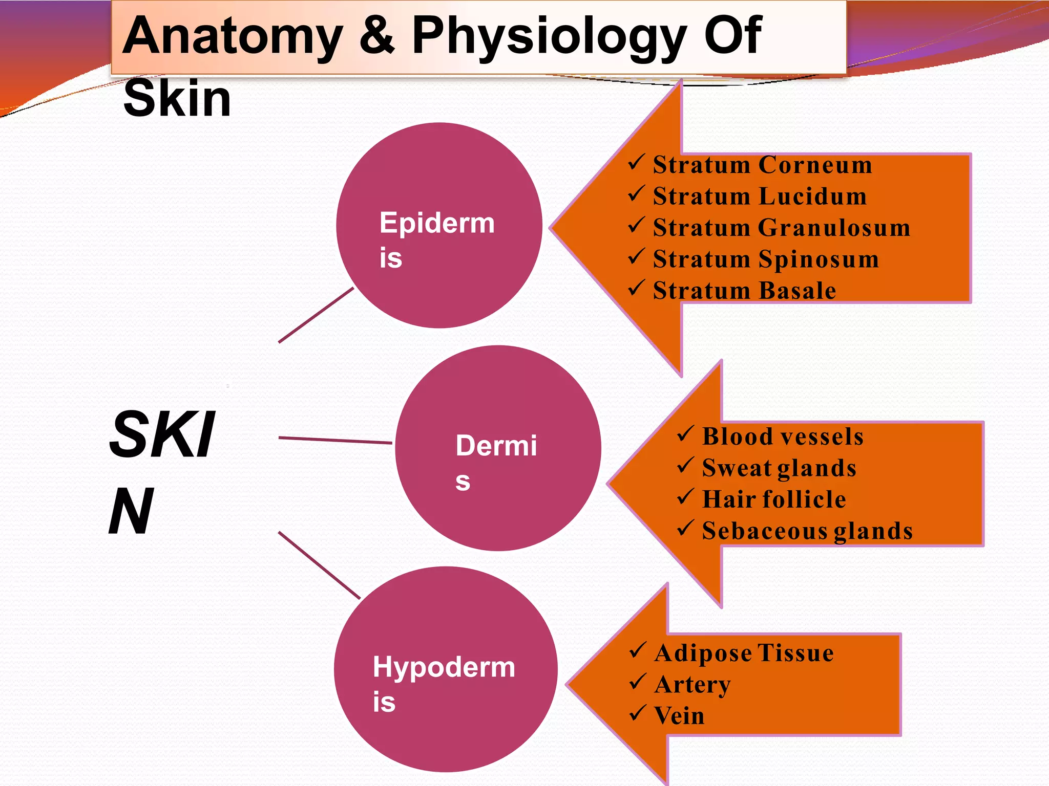 Ndds 7 Transdermal Drug Delivery System | PPTX