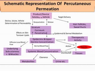 Ndds 7 Transdermal Drug Delivery System | PPTX