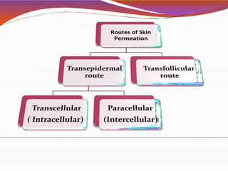Ndds 7 Transdermal Drug Delivery System | PPTX