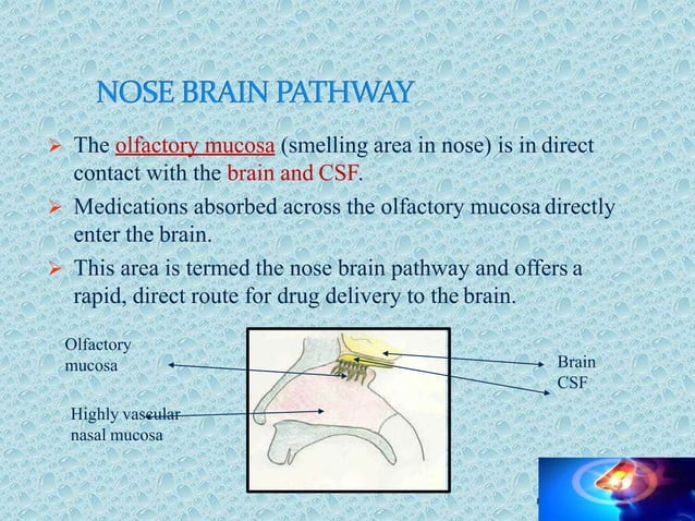 Ndds 9 Nasal Drug Delivery System | PPTX