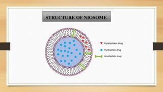 Novel Drug Delivery System PPT(Niosomes).pptx