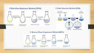 Novel Drug Delivery System PPT(Niosomes).pptx