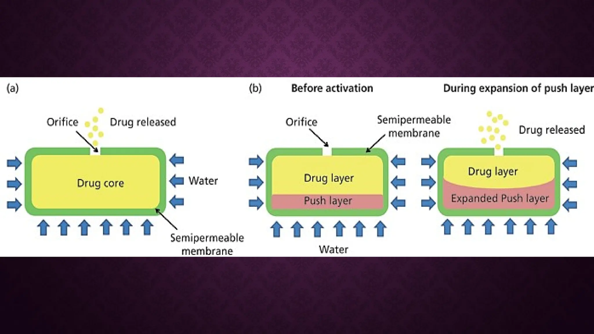 Controlled Drug Delivery System, Unit-I, BP704T: NDDS, Sem-VII, Final ...