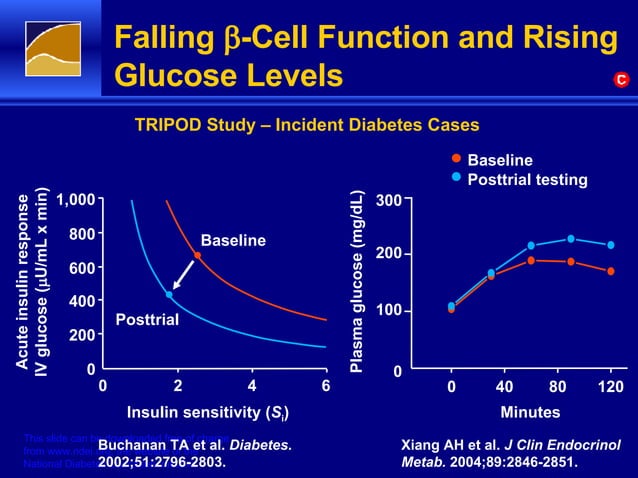 Ndei Beta Cell Slide Kit Can We Assess B Cell Health | PPT