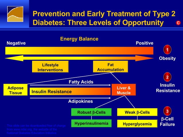 Ndei Beta Cell Slide Kit Clinical Implications | PPT
