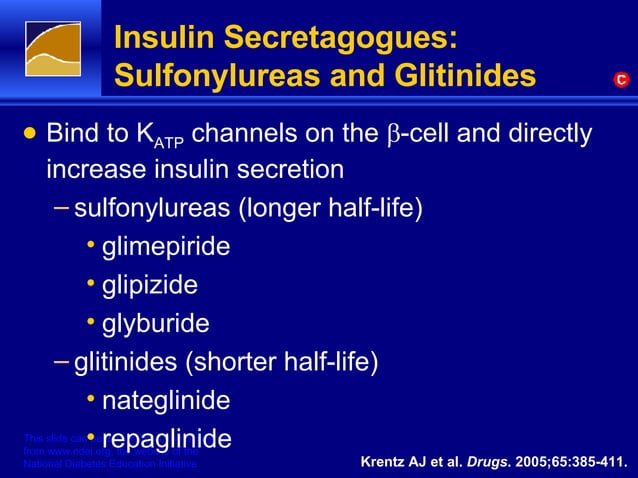 Ndei Beta Cell Slide Kit Clinical Implications | PPT