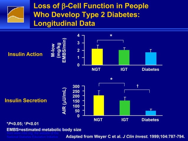 Ndei Beta Cell Slide Kit Insulin Secretion | PPT