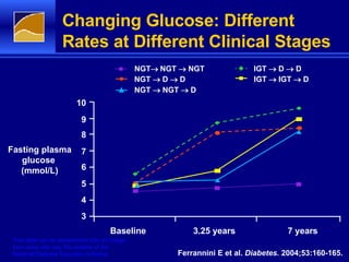 Ndei Beta Cell Slide Kit Insulin Secretion | PPT