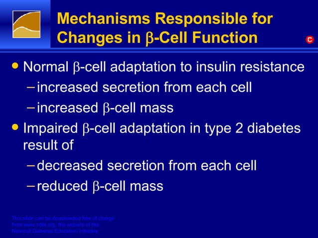 Ndei Beta Cell Slide Kit Insulin Secretion | PPT