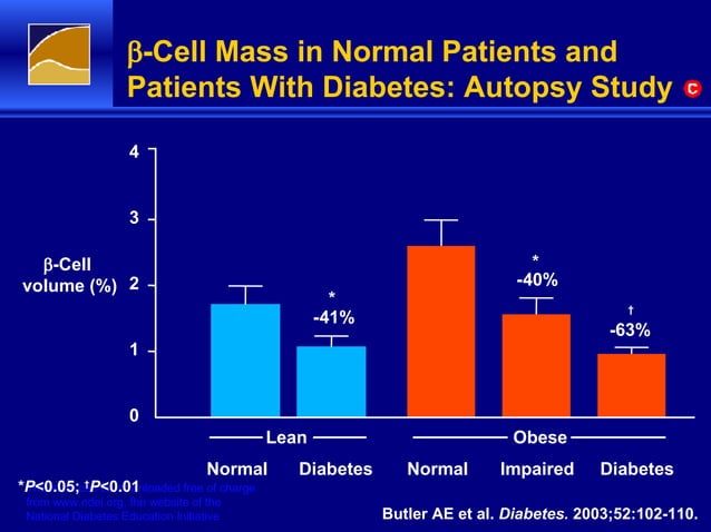 Ndei Beta Cell Slide Kit Insulin Secretion | PPT