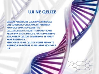 Ndertimi i qelizes Kamela Guce shkolla "Albanet" klasa VII | PPTX