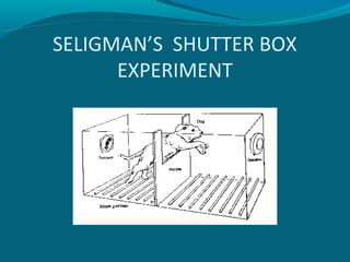 Strategies for Understanding and Working with Trauma Survivors | PPT ...