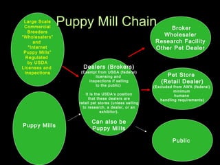 Puppy Mill Charts
