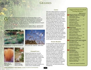 ND: Living Landscapes - A Guide to Native PlantScaping | PDF