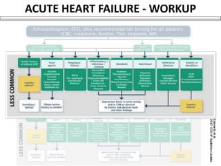 Principles of management of acute heart failure | PPTX | Heart and ...