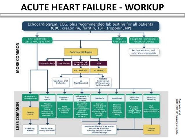 Principles of management of acute heart failure