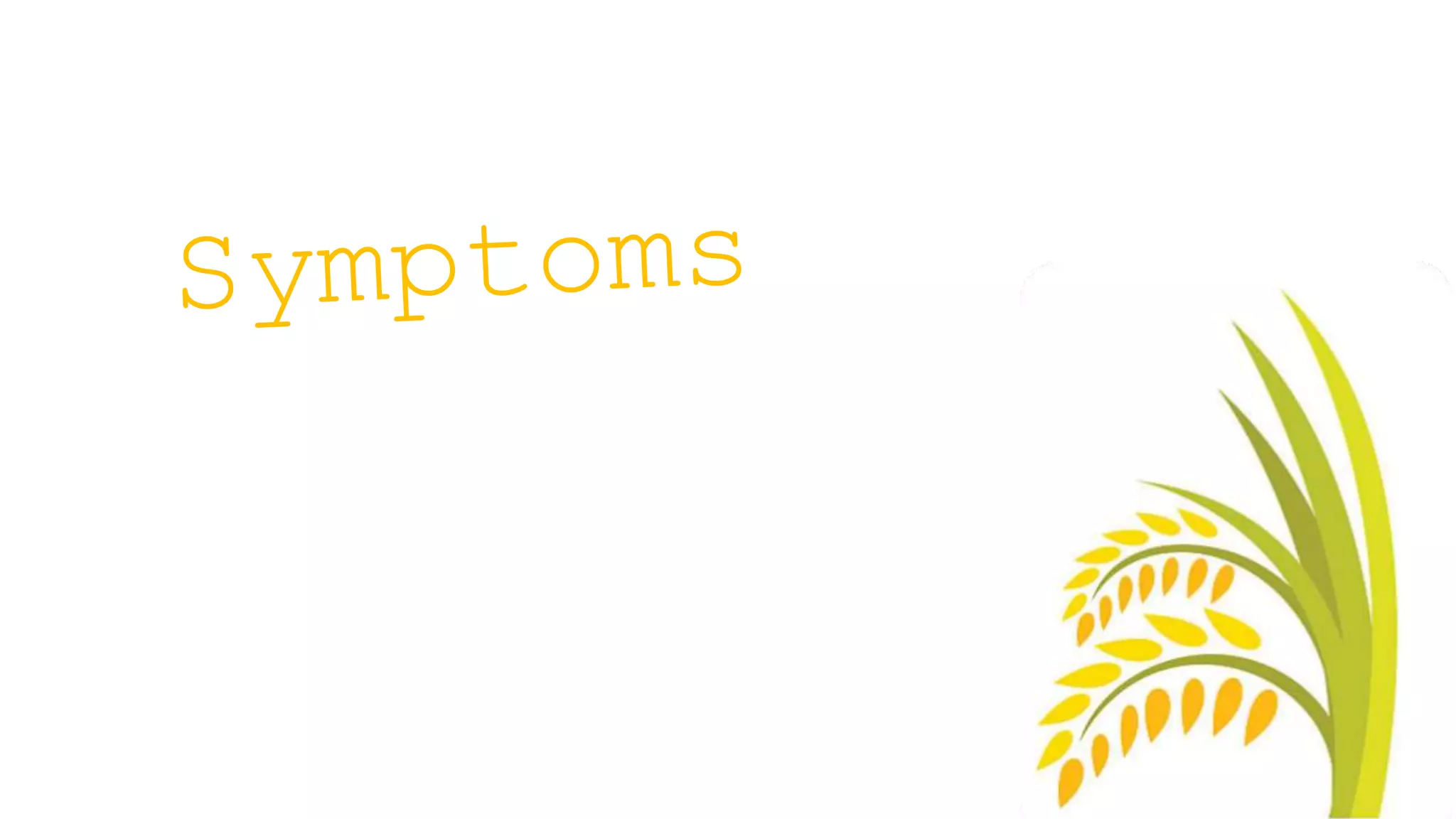 Nutrient Deficiency Symptoms of Rice (Oryza sativa) | PPTX