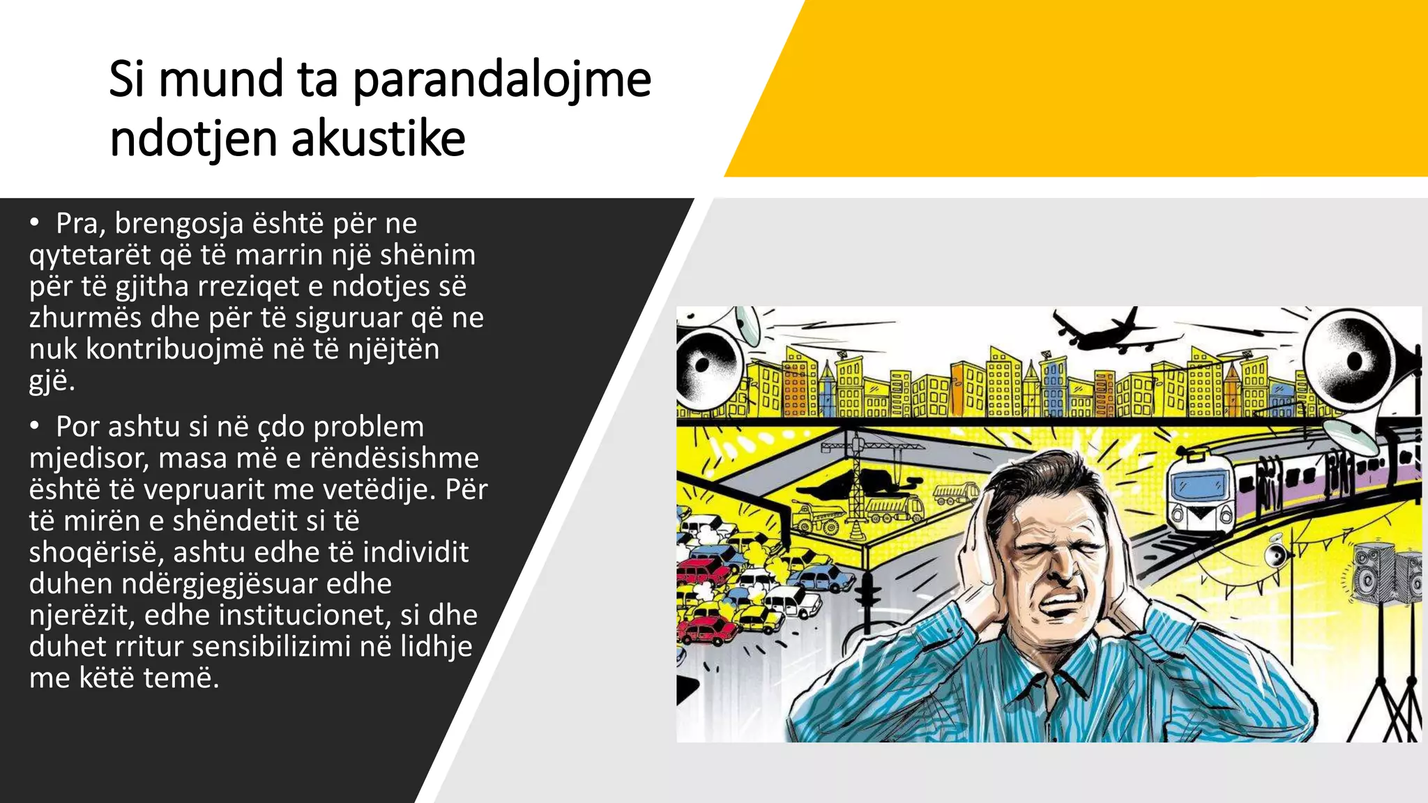 Ndotja akustike | PPTX