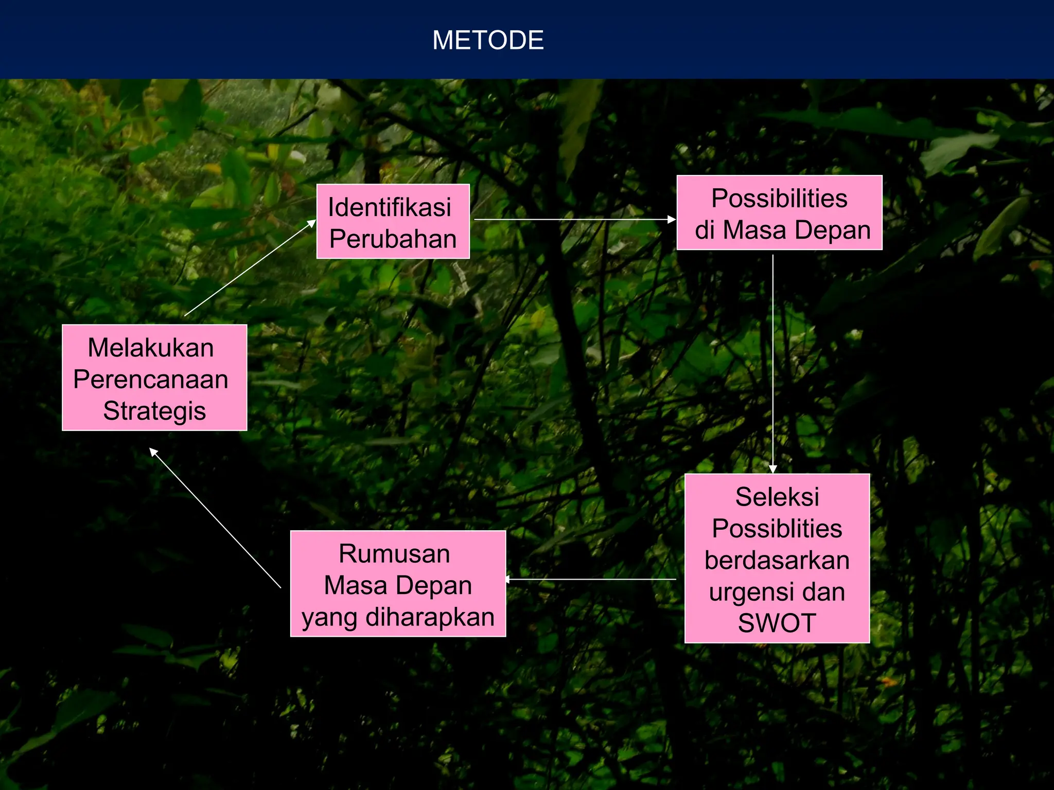 nilai dasar pergerakan pmii oleh tirmidzi.ppt