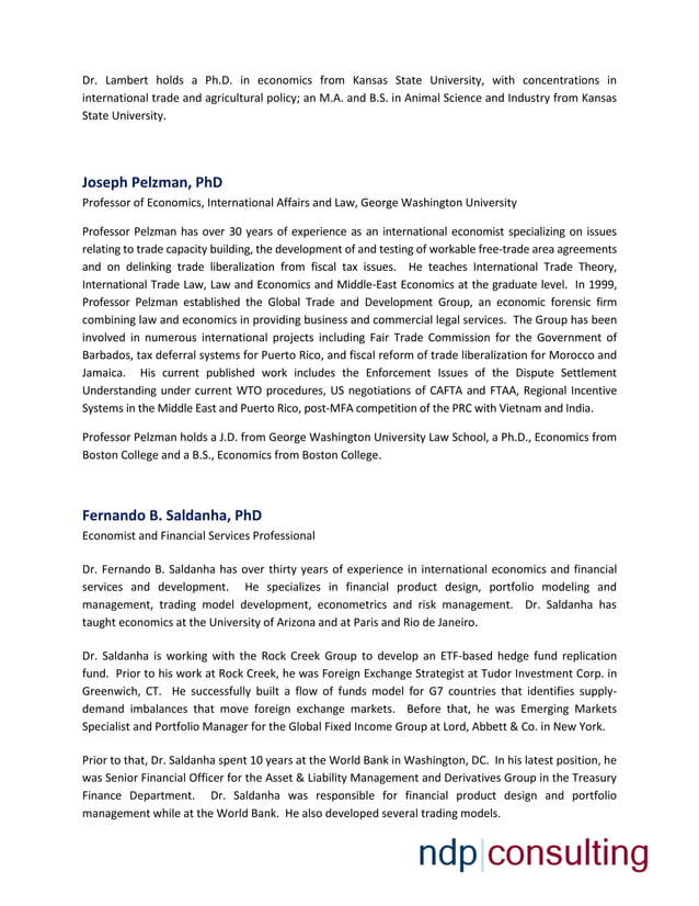 NDP Consulting Information Book | PDF