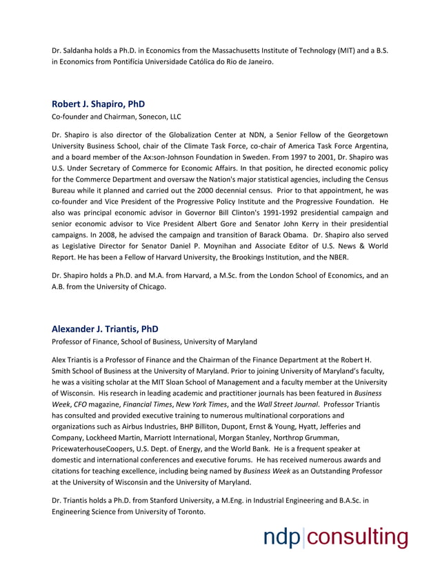 NDP Consulting Information Book | PDF