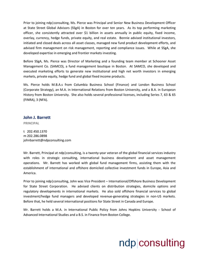 NDP Consulting Information Book | PDF