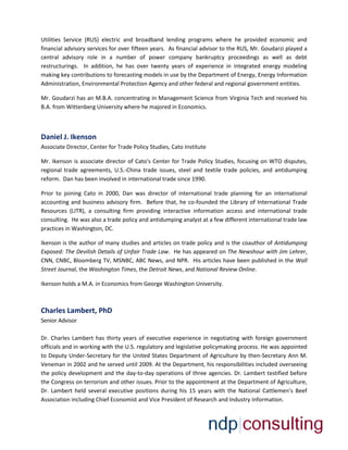 NDP Consulting Information Book | PDF
