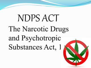 Ndps | PPT