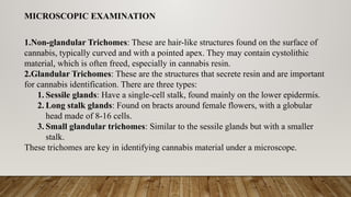 ndps narcotics drugs psychotropic substances | PPTX
