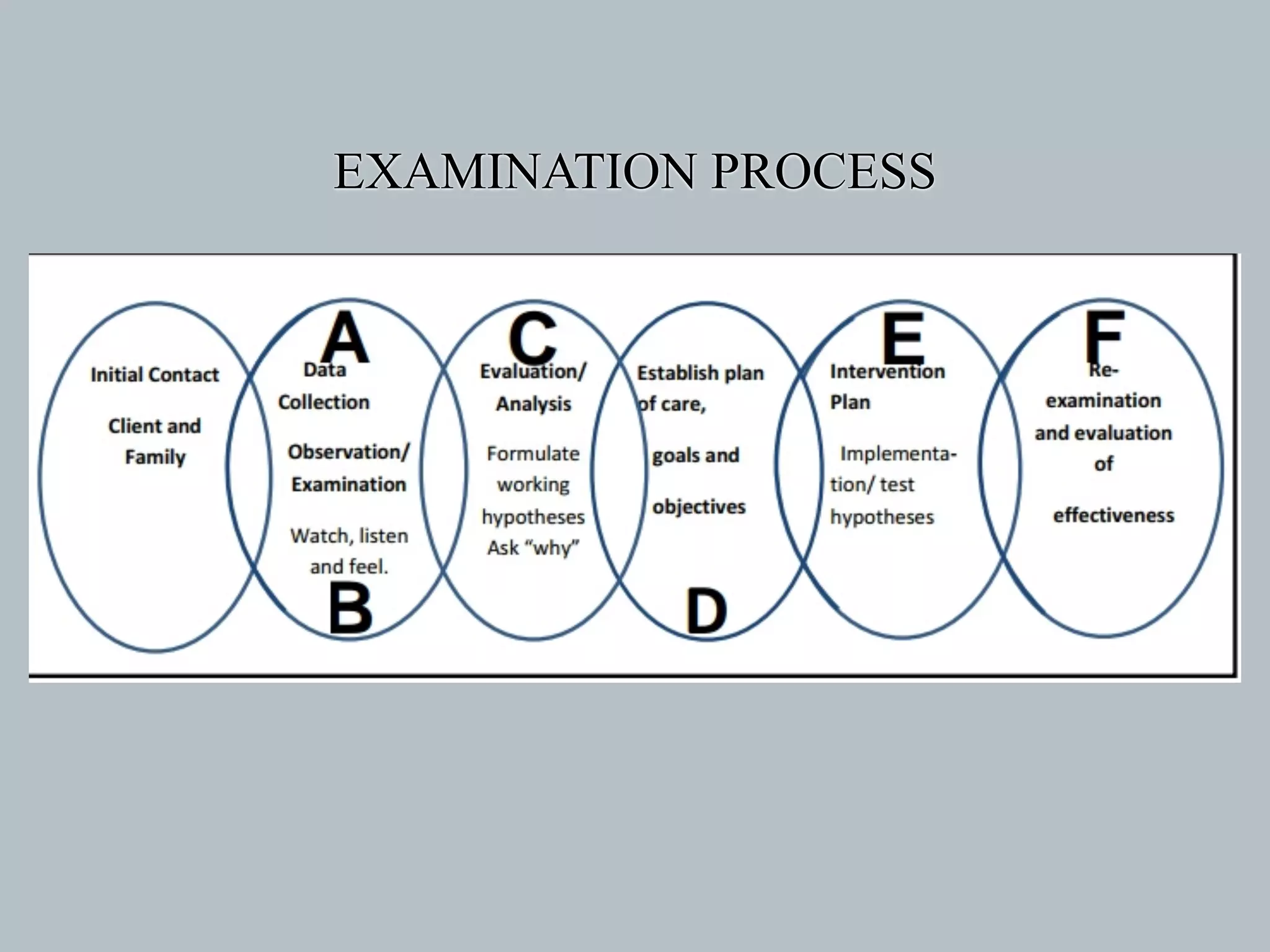 Neurodevelopmental Therapy (NDT) | PDF